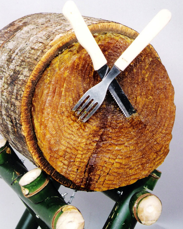 En Misiones está el único árbol comestible del mundo – El Puntano